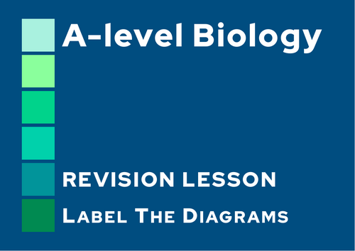 AQA A-level Biology Revision Lesson Task Label The Diagrams | Teaching ...
