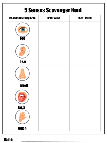 "5 Senses Scavenger Hunt Worksheet: Explore & Discover" | Teaching ...