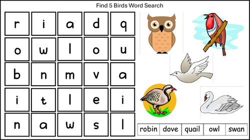 6 Bird Worksheets for Children EYFS / KS1 | Teaching Resources