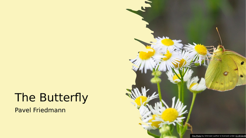 The Butterfly - poem by Pavel Friedmann | Teaching Resources