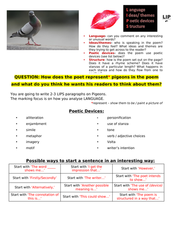 Introduction to Poetry - Complete SOL | Teaching Resources