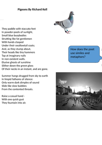 Introduction to Poetry - Complete SOL | Teaching Resources