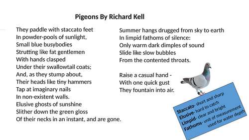 Introduction to Poetry - Complete SOL | Teaching Resources