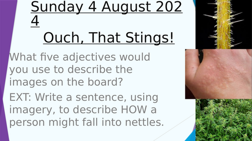 Introduction to Poetry - Complete SOL | Teaching Resources