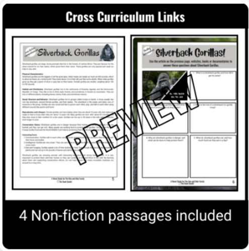 THE ONE AND ONLY FAMILY Novel Study | Teaching Resources