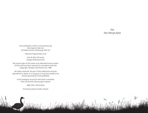 Swan Song - Gill Lewis - Whole Class Reading Session! | Teaching Resources