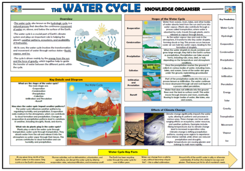 The Water Cycle - KS2 Knowledge Organiser! | Teaching Resources