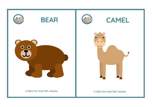 ESL Zoo Animals Flashcards | Teaching Resources