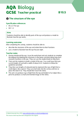 B10 The Human Nervous System (TRIPLE lessons only - Eye/ Brain) GCSE ...
