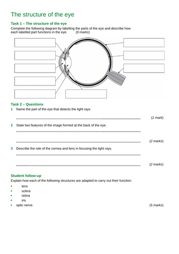 B10 The Human Nervous System (TRIPLE lessons only - Eye/ Brain) GCSE ...
