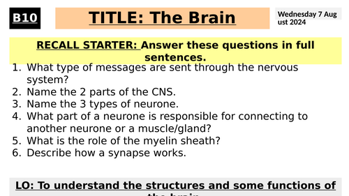 B10 The Human Nervous System (TRIPLE lessons only - Eye/ Brain) GCSE ...