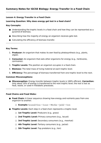 **iGCSE Biology Edexcel - ENERGY TRANSFER IN A FOOD CHAIN** | Teaching ...