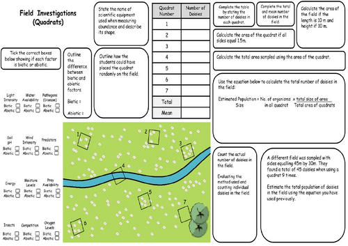 Igcse Biology Edexcel Sampling Populations Quadrats Teaching Resources