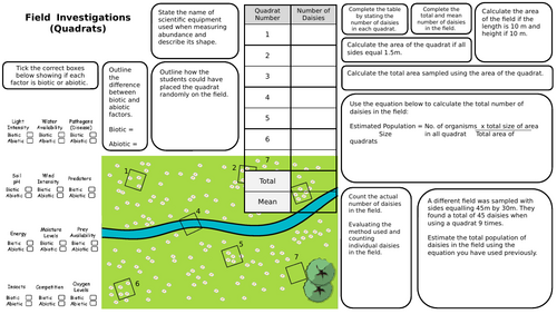 Igcse Biology Edexcel Sampling Populations Quadrats Teaching Resources