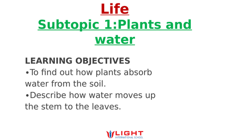 Year 9 Cambridge Checkpoint Biology; Maintaining Life | Teaching Resources
