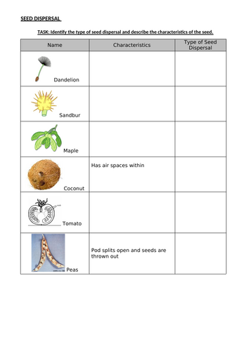 Ecosystems KS3 Activate | Teaching Resources