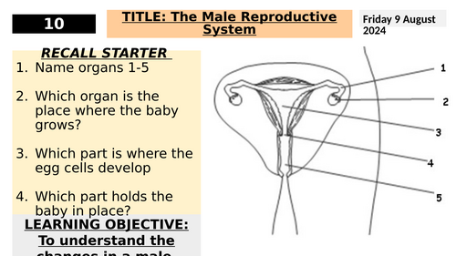 Variation and Human Reproduction (Year 7 ) KS3 Activate | Teaching ...