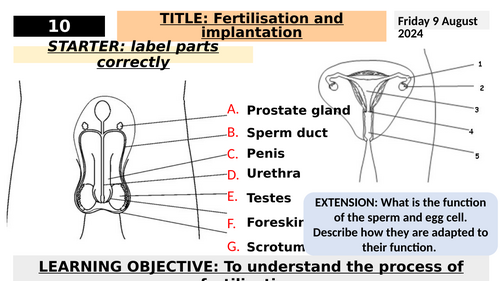 Variation and Human Reproduction (Year 7 ) KS3 Activate | Teaching ...