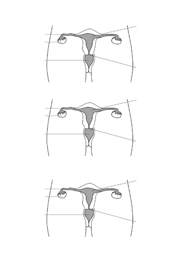 Variation and Human Reproduction (Year 7 ) KS3 Activate | Teaching ...