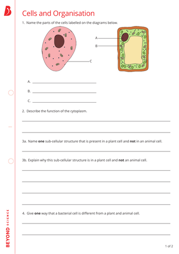 CIE iGCSE Biology 0970 (9-1) Topic 2 Organisation of organisms ...
