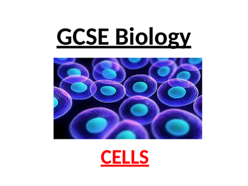 CIE iGCSE Biology 0970 (9-1) Topic 2 Organisation of organisms ...