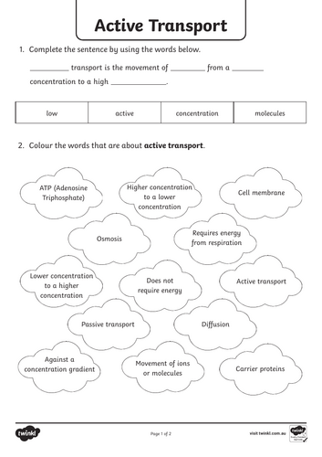 CIE iGCSE Biology 0970 (9-1) Topic 3 Movement Into & Out of Cells ...