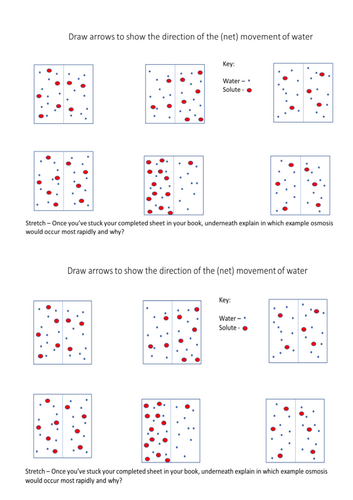 CIE iGCSE Biology 0970 (9-1) Topic 3 Movement Into & Out of Cells ...