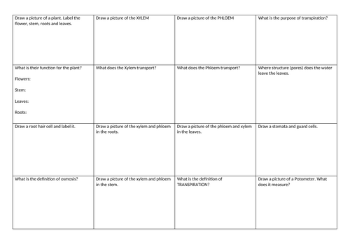 CIE iGCSE Biology 0970 (9-1) Topic 6 Plant Nutrition & Topic 8 ...