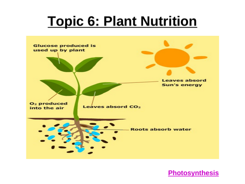 CIE iGCSE Biology 0970 (9-1) Topic 6 Plant Nutrition & Topic 8 ...