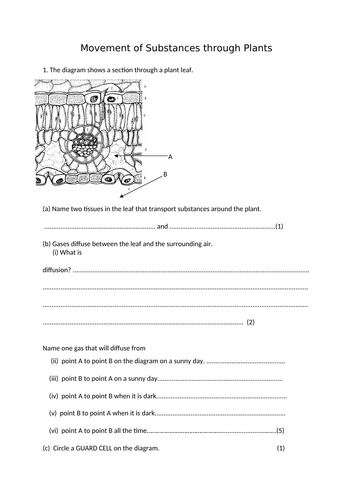 CIE iGCSE Biology 0970 (9-1) Topic 6 Plant Nutrition & Topic 8 ...