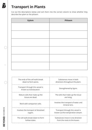 CIE iGCSE Biology 0970 (9-1) Topic 6 Plant Nutrition & Topic 8 ...