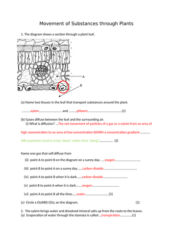 CIE iGCSE Biology 0970 (9-1) Topic 6 Plant Nutrition & Topic 8 ...
