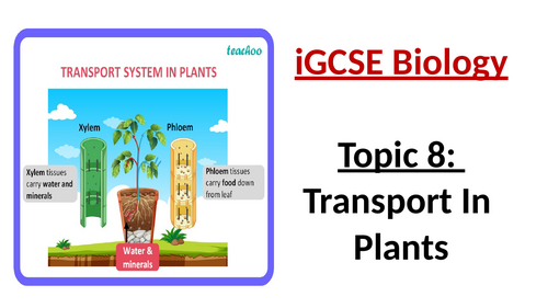 CIE iGCSE Biology 0970 (9-1) Topic 6 Plant Nutrition & Topic 8 ...