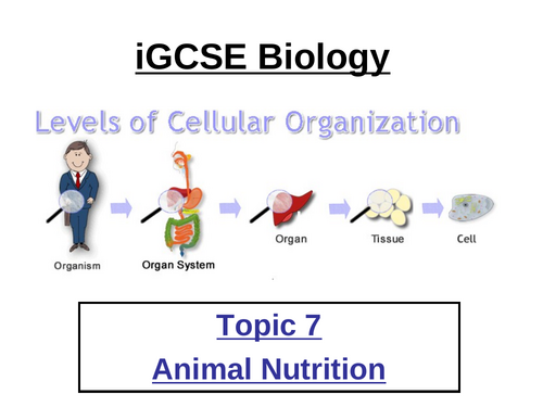 CIE iGCSE Biology 0970 (9-1) Topic 7 Human Nutrition ppt & worksheets ...
