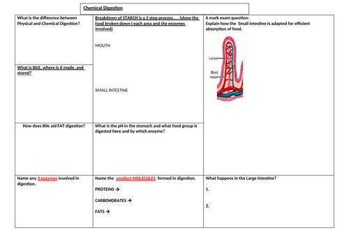 CIE iGCSE Biology 0970 (9-1) Topic 7 Human Nutrition ppt & worksheets ...