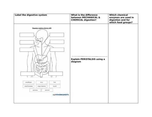 CIE iGCSE Biology 0970 (9-1) Topic 7 Human Nutrition ppt & worksheets ...