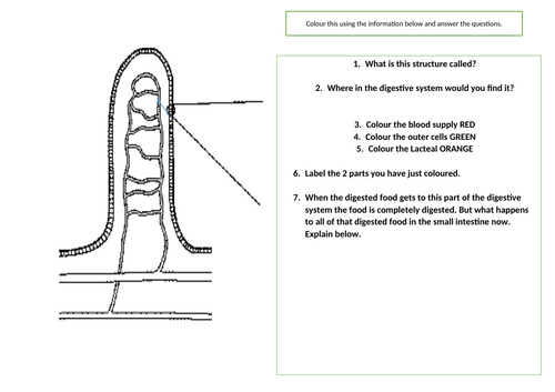 CIE iGCSE Biology 0970 (9-1) Topic 7 Human Nutrition ppt & worksheets ...