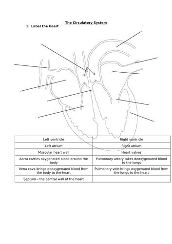 CIE iGCSE Biology 0970 (9-1) Topic 9 Transport in animals ppt ...