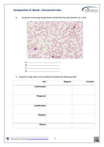 CIE iGCSE Biology 0970 (9-1) Topic 9 Transport in animals ppt ...