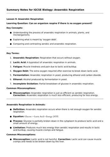 **iGCSE Biology Edexcel - ANAEROBIC RESPIRATION** | Teaching Resources