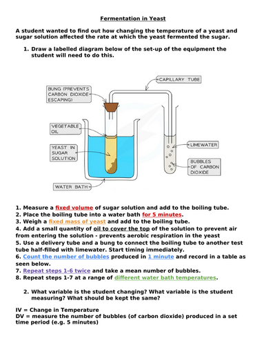 **iGCSE Biology Edexcel - ANAEROBIC RESPIRATION PRACTICAL YEAST ...