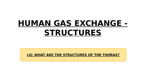**iGCSE Biology Edexcel - HUMAN GAS EXCHANGE - STRUCTURES** | Teaching ... **iGCSE Biology Edexcel - HUMAN GAS EXCHANGE - STRUCTURES** | Teaching ...