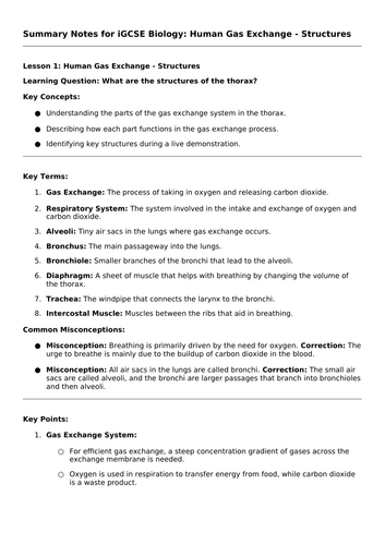 **iGCSE Biology Edexcel - HUMAN GAS EXCHANGE - STRUCTURES** | Teaching ... **iGCSE Biology Edexcel - HUMAN GAS EXCHANGE - STRUCTURES** | Teaching ...