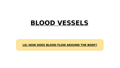 **iGCSE Biology Edexcel - BLOOD VESSELS** | Teaching Resources