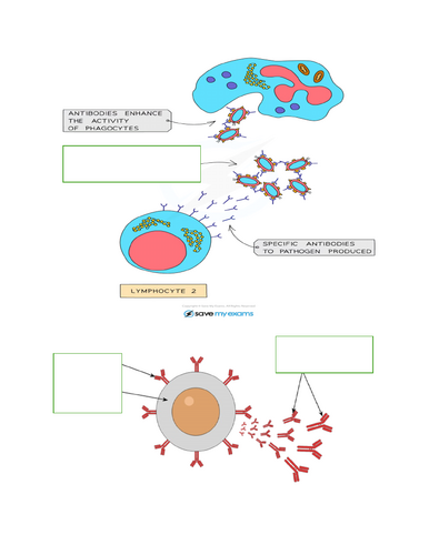 CIE iGCSE Biology 0970 (9-1) Topic 10 Disease and Immunity | Teaching ...