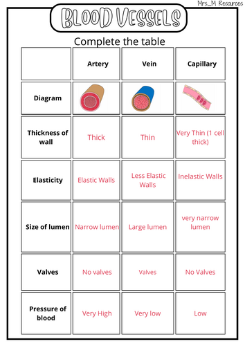 B2- The Heart and Blood Vessels (GCSE) | Teaching Resources