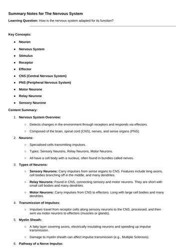 Igcse Biology Edexcel The Nervous System Teaching Resources