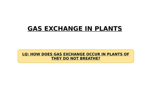 **iGCSE Biology Edexcel - GAS EXCHANGE IN PLANTS** | Teaching Resources
