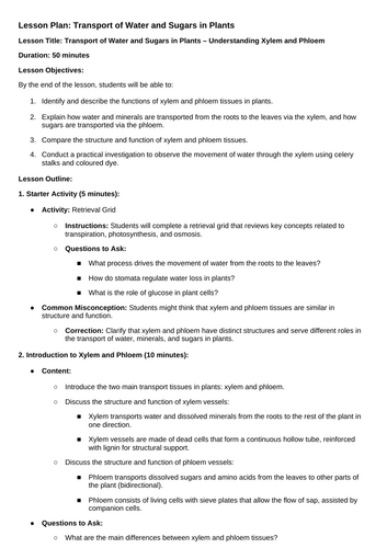 **iGCSE Biology Edexcel - TRANSPORT OF WATER & SUGARS** | Teaching ...