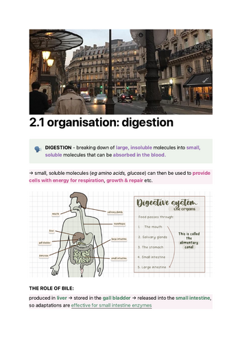 2.1 DIGESTION - AQA GCSE Biology Revision Notes + Exam Questions ...